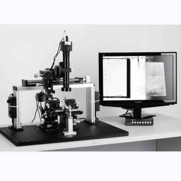 Significant Role of Fiber Array Alignment: FiberMart Company, Inc.